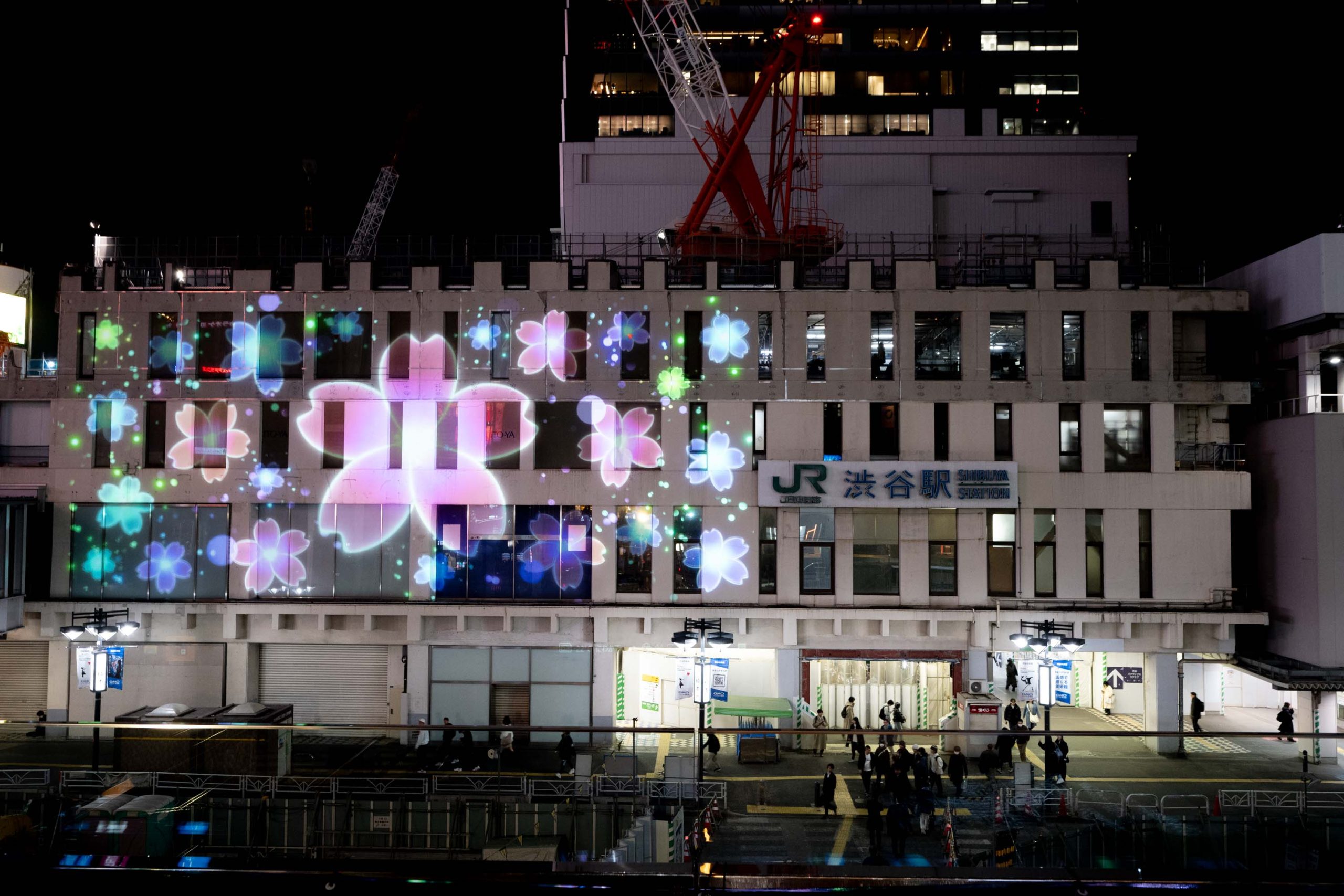 Tokyo Projection Mapping Connect, 2024 – Akiko Yamashita